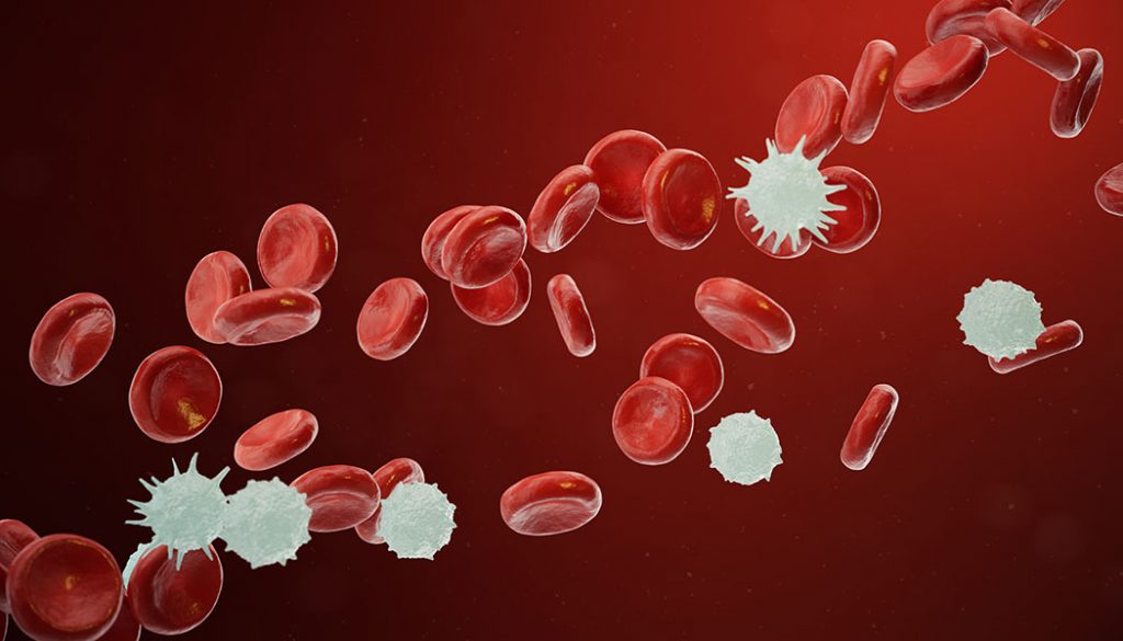 Difference Between Multiple Myeloma, Lymphoma & Leukemia - Yashoda Hospital